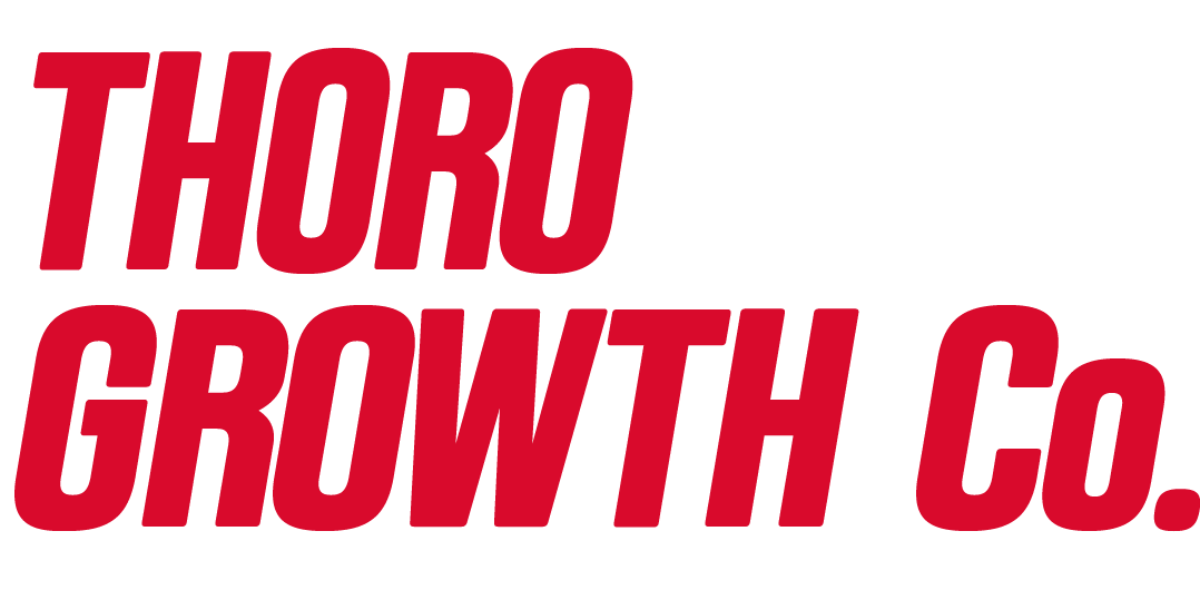 Thoro Growth - Next level Branding & Marketing Agency from India